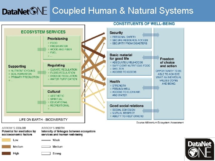A Proposal for a Distributed Earth Observation Data