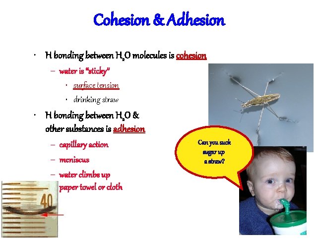 Outline Atoms ions and isotopes Molecules Chemical bonds