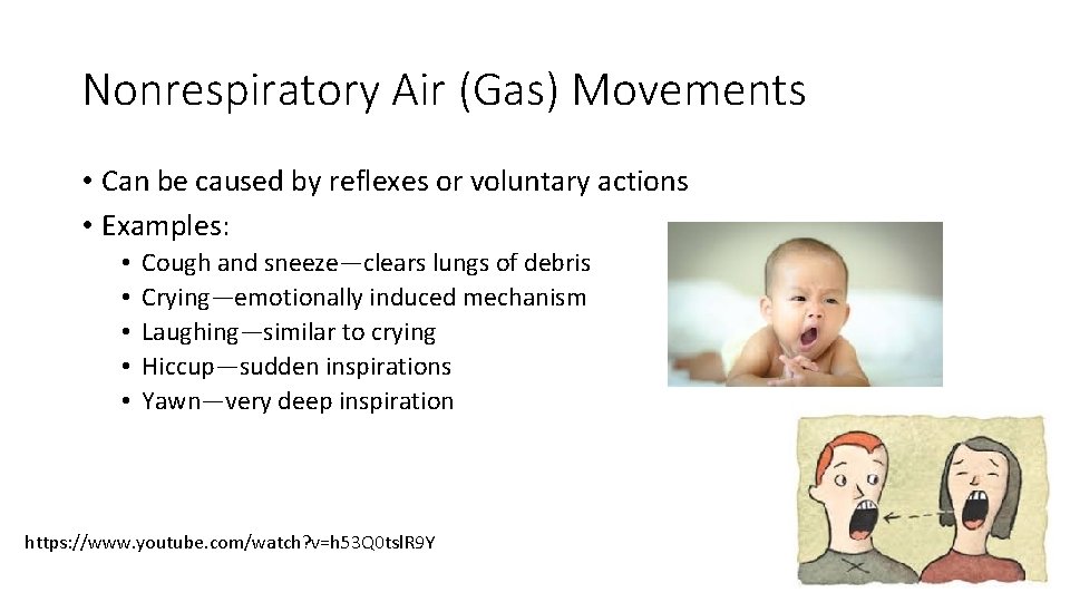Mechanics of Breathing Pulmonary Ventilation Completely mechanical process