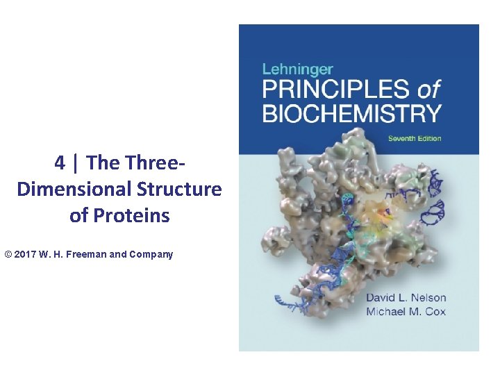 4 The Three Dimensional Structure of Proteins 2017