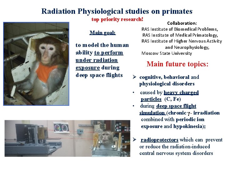 Strategic plan for the longterm development of JINR