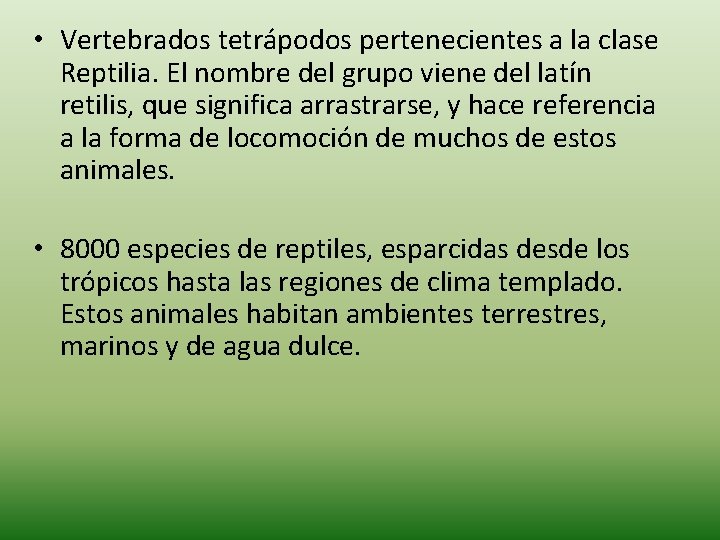 CARACTERISTICAS DE LOS REPTILES Vertebrados tetrpodos pertenecientes a