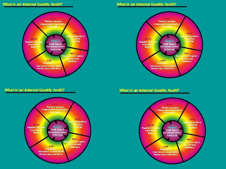 What is an Internal Quality Audit WHAT Random