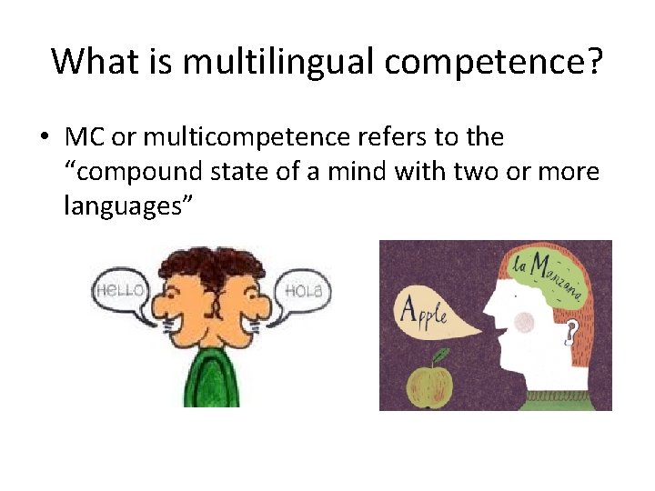 Introduction to SLA 6 th semester Cecilia Villarreal