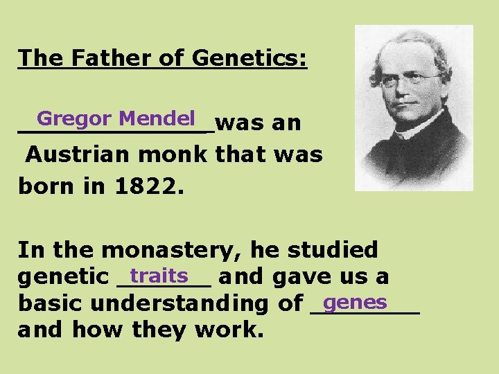 https conradchrabol wordpress commendelsearlyworks Intro to Mendelian ...