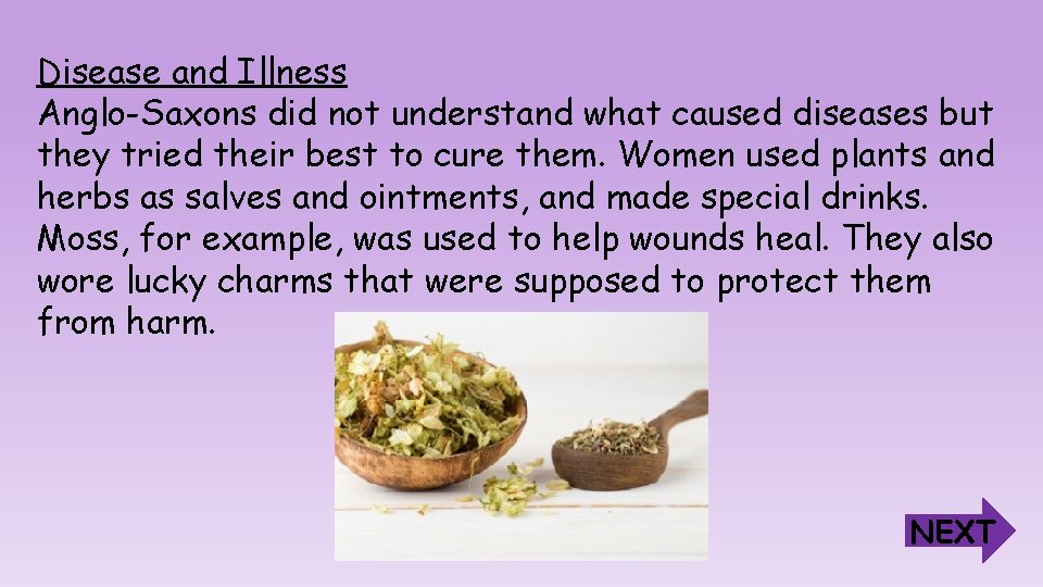 Monday 25 th January WALT Know what life