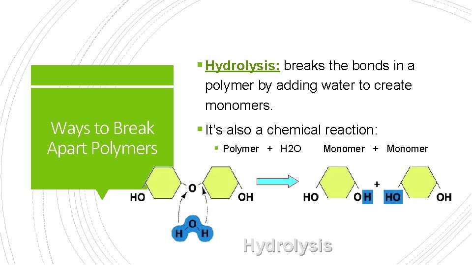3 2 Introduction to Organic Molecules What is