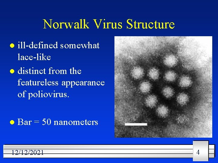 Norwalk Calici Viruses fackrelUwindsor ca 12122021 1 Norwalk