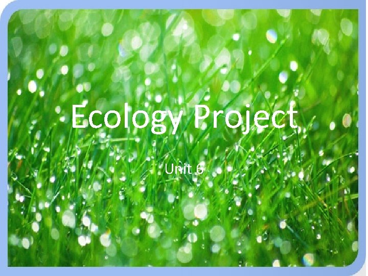 Ecology Project Unit 6 1 What is Ecology