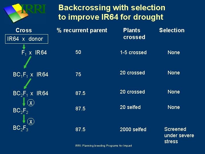 Planning rice breeding programs for impact Choosing parents