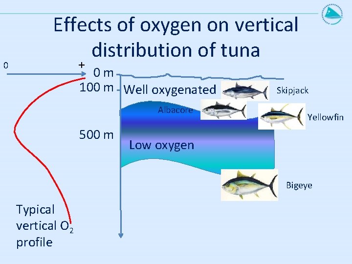 Projected changes to tuna stocks Based on Outline