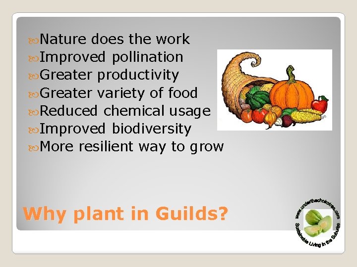 Designing a Guild More than just the three