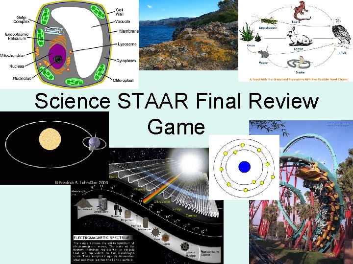Science STAAR Final Review Game A science teacher