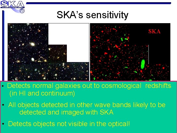 The SKA Design Study SKADS Peter Wilkinson University