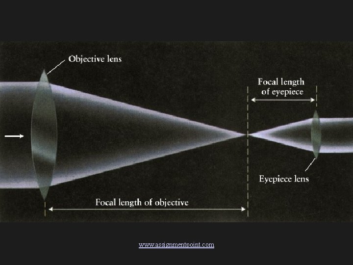 Dividing Light into Spectrum www assignmentpoint com Dividing