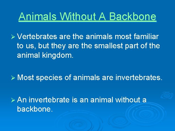 Chapter 6 Lesson 2 What are Vertebrates and