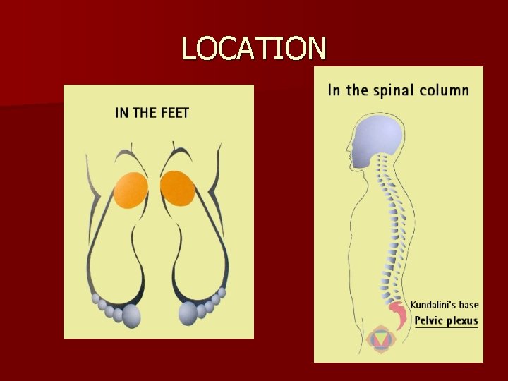 MOOLADHARA CHAKRA Moola Root Dhara Base CORRESPONDENCES Number