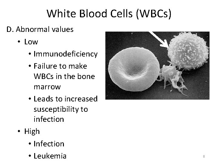 Pharmacogenetics How Genetic Information Is Used to Treat