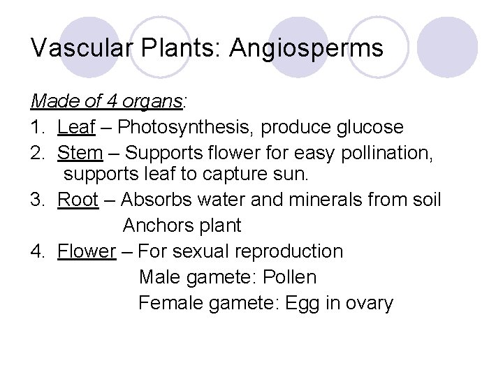 Plant Classification Anatomy Plants can be classified into