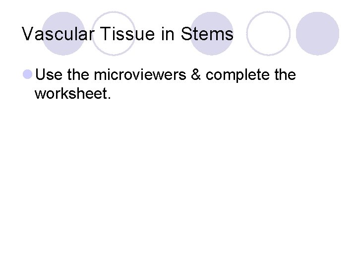 Plant Classification Anatomy Plants can be classified into
