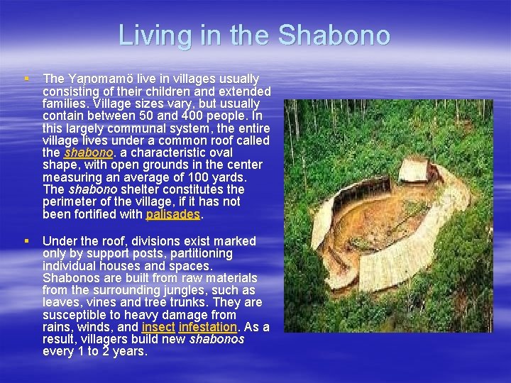 The Yanomamo Yahnomahmuh also called Yanomami and Yanomama