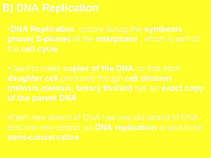 BIOLOGY DNA A DNA Structure Review DNA Deoxyribose