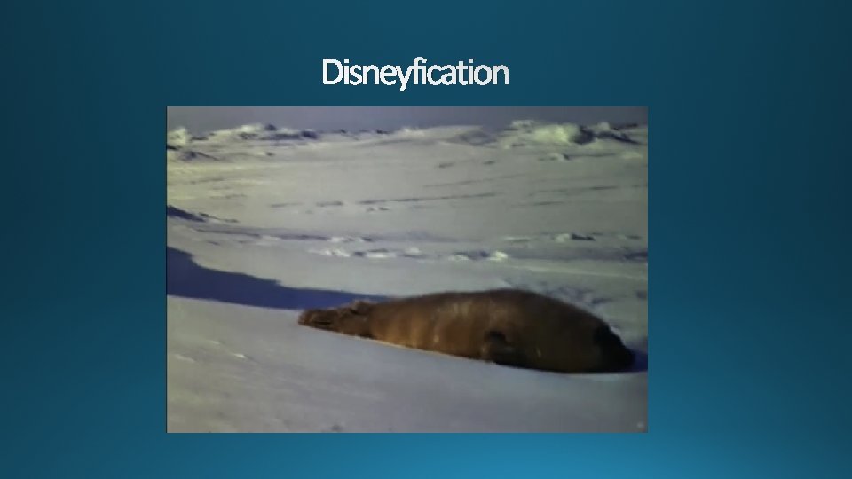 Ecomedia Animal LocomotionAnimated Zoology Eadweard Muybridge Animal ...