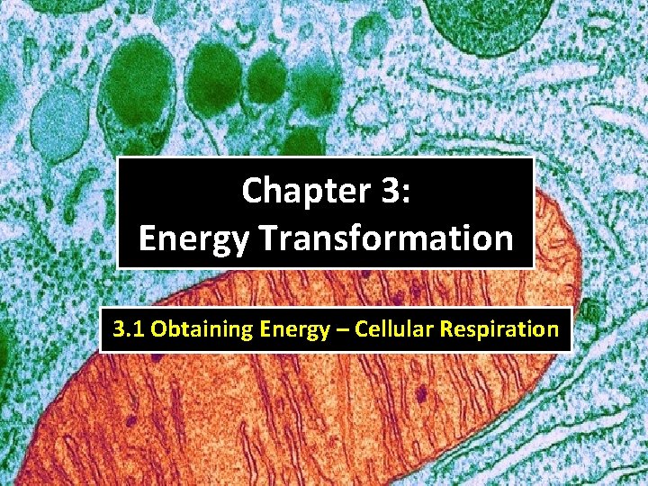 Chapter 3 Energy Transformation 3 1 Obtaining Energy