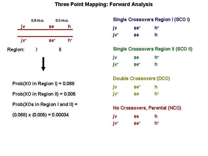 Three Point Mapping Forward Analysis 6 8 m