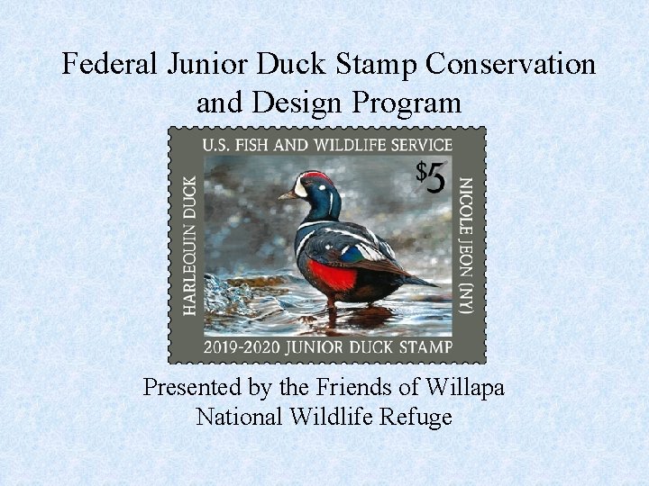 Federal Junior Duck Stamp Conservation and Design Program