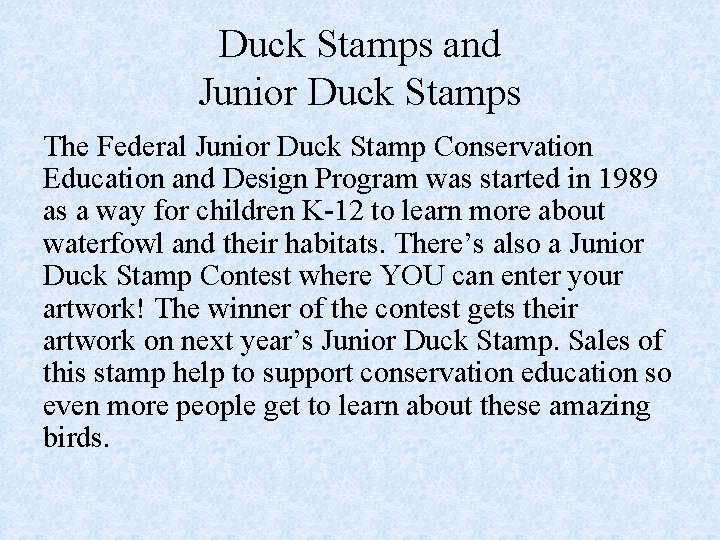 Federal Junior Duck Stamp Conservation and Design Program