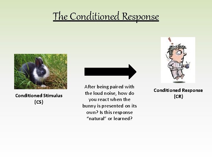 Bellringer Write the initials of as many of