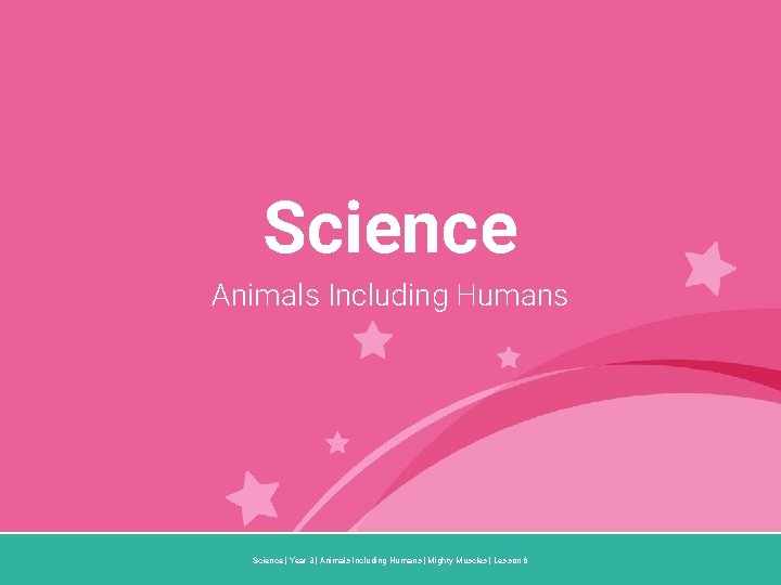 Science Animals Including Humans Year One Science Year