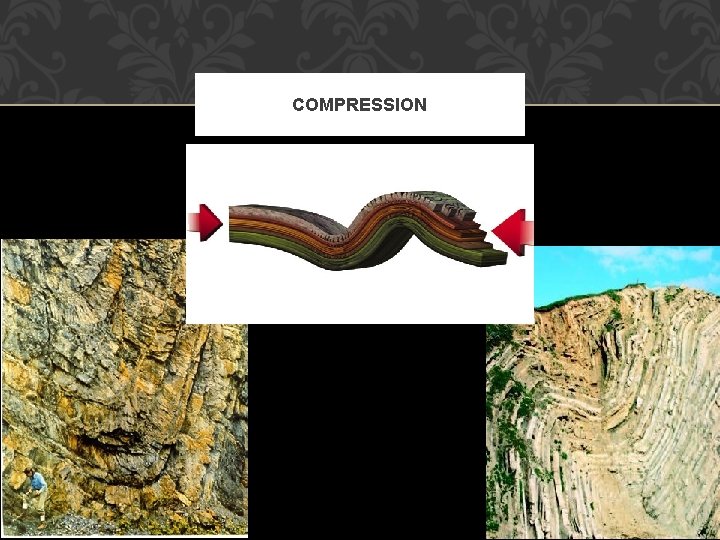 PLATE TECTONICS How big are the plates of