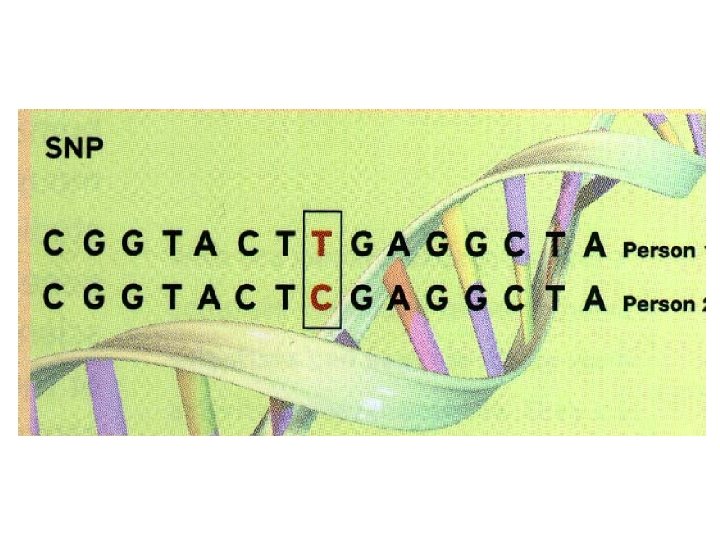 Genetic Statistics Lectures Linkage disequilibriumLD LD mapping Human