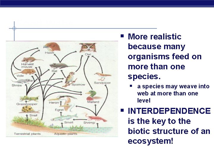 Energy and Matter in Ecosystems Needs of organisms