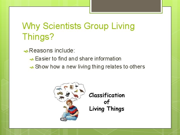 Classifying Living Things Lauren Buck Harcourt Science Life