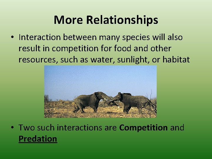 Ecosystems and the Relationships in Them Biodiversity Biosphere