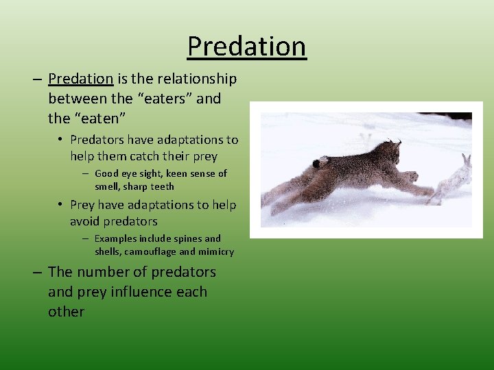 Ecosystems and the Relationships in Them Biodiversity Biosphere