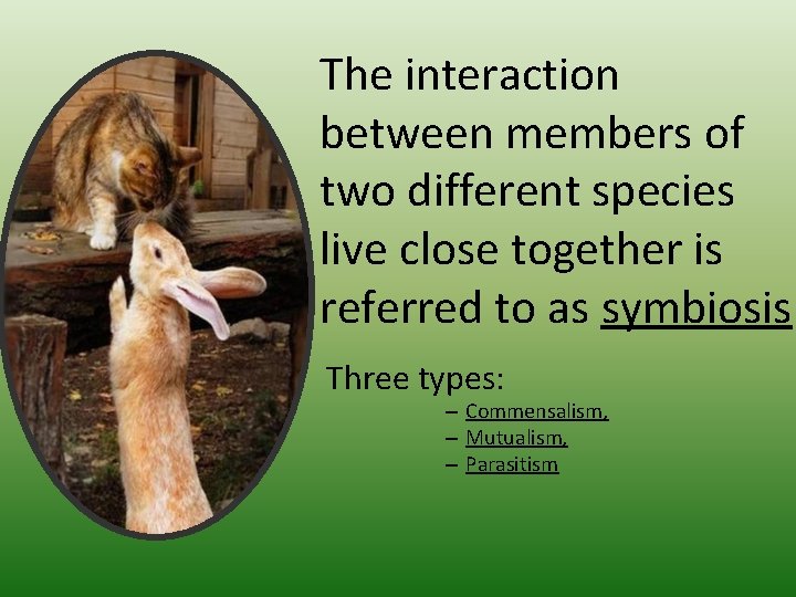 Ecosystems and the Relationships in Them Biodiversity Biosphere