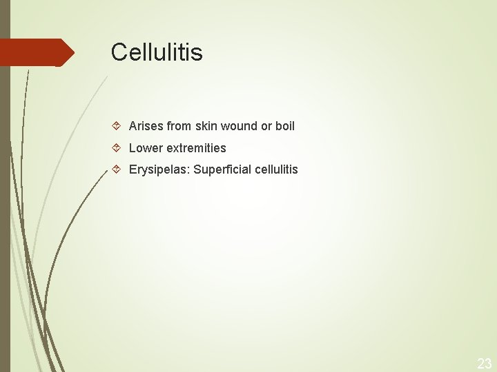 Dermatologic Pathologies Chapter 4 1 Learning Objectives Lesson