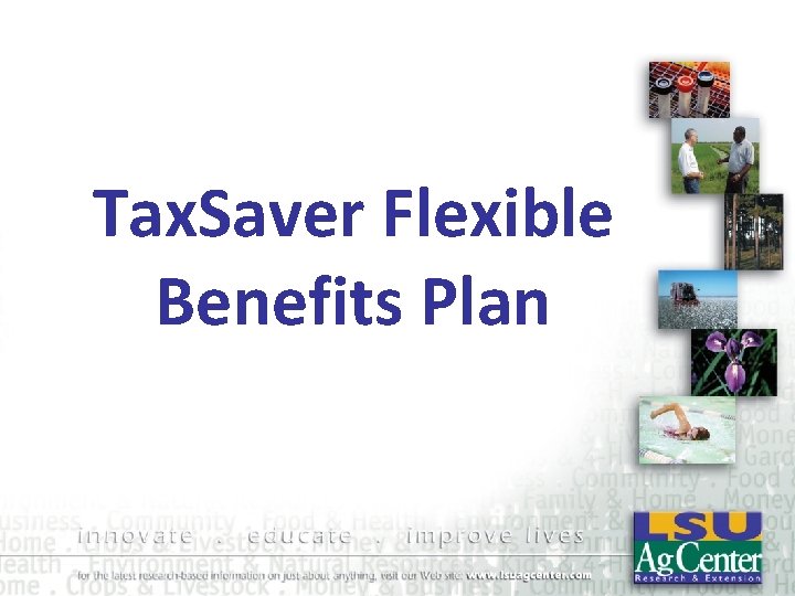 Tax Saver Flexible Benefits Plan Tax Saver Two