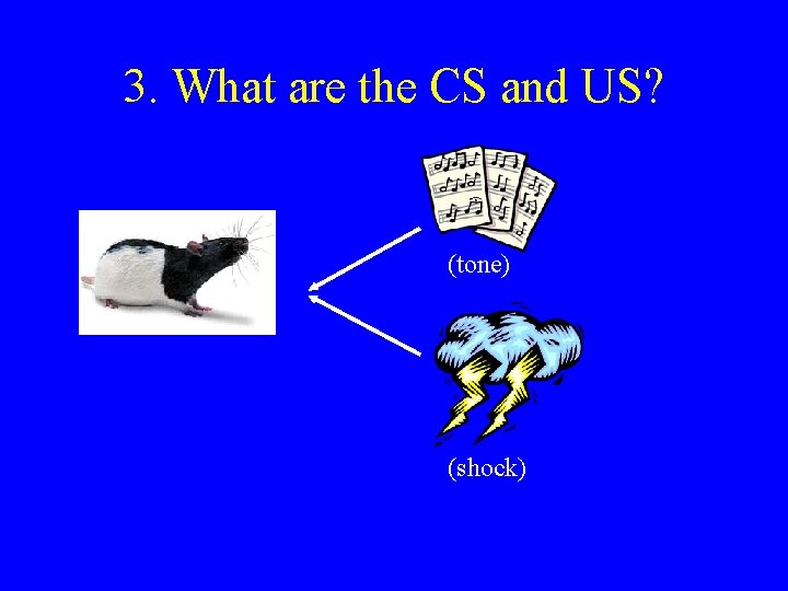 3 What are the CS and US tone