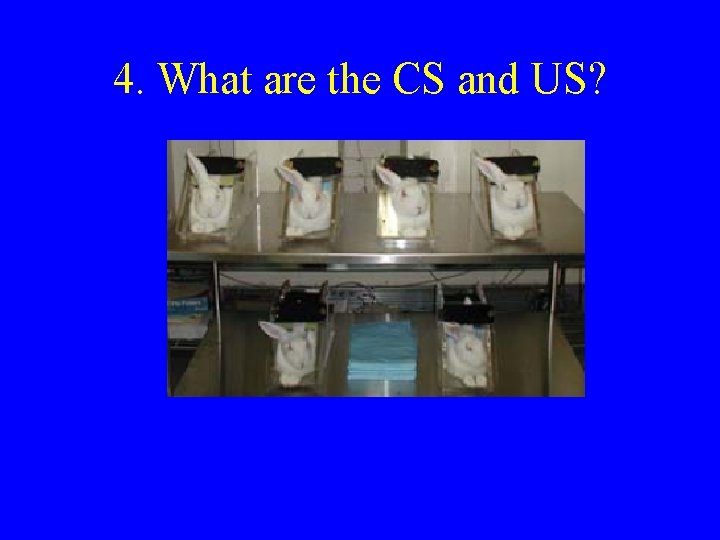 3 What are the CS and US tone