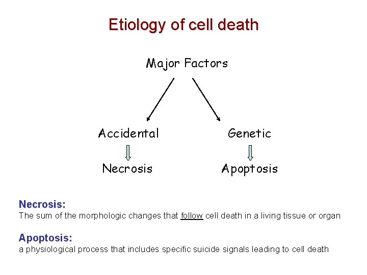 Mechanisms of Cell Death Etiology of cell death