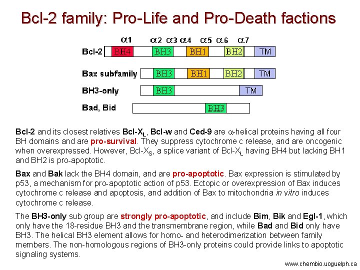 Mechanisms of Cell Death Etiology of cell death