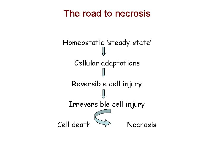 Mechanisms of Cell Death Etiology of cell death