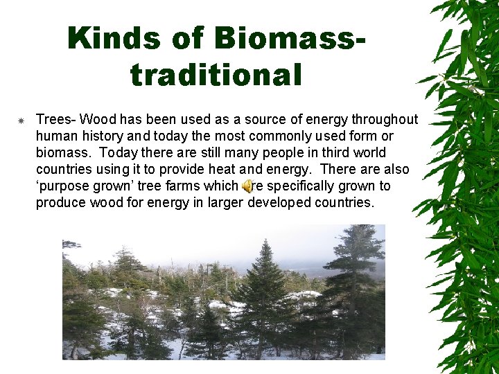 Biomass Defined Biomass is wood plants animal mass