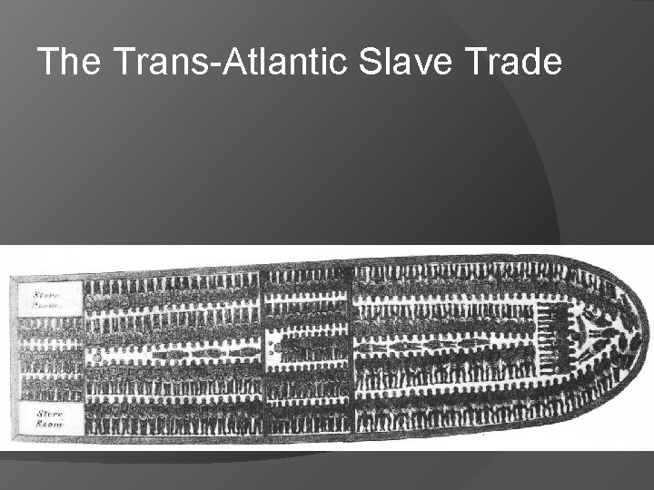 Lecture 13 Native Americans and the Colonial Period