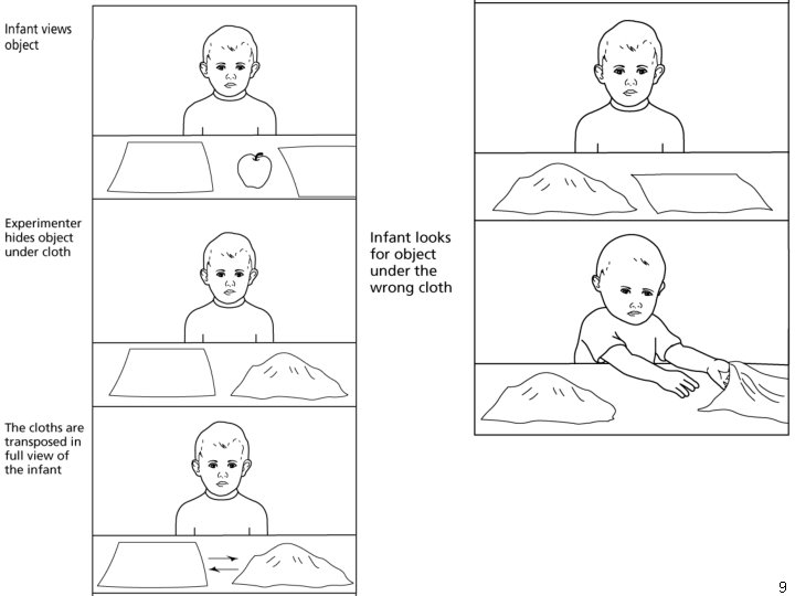 3 Cognitive Development Piaget l Outline What is